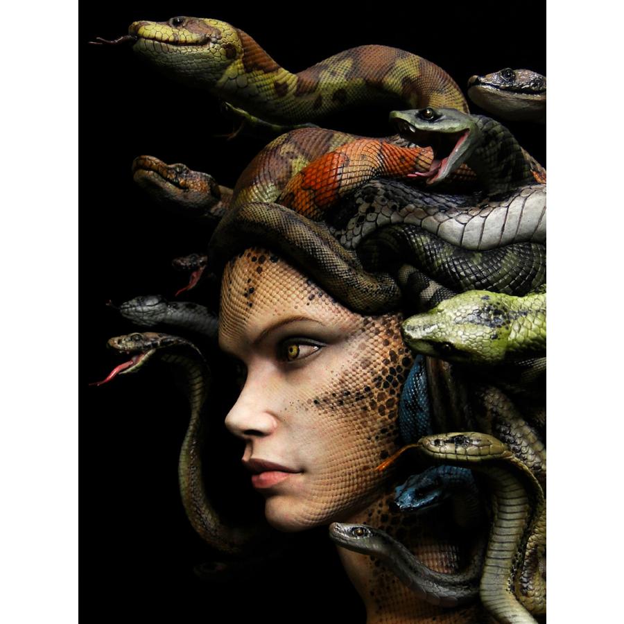 The Gorgon 1/2scale Bust kit【取り寄せ】 : ROSWELL JAPAN - 通販 - Yahoo!ショッピング