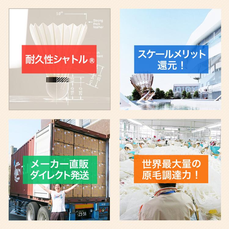 RSL ファーストステップ バドミントンシャトル 練習用 10ダース(10本) スピード番号(2番 3番 4番 5番) 学校部活・社会人にお ...