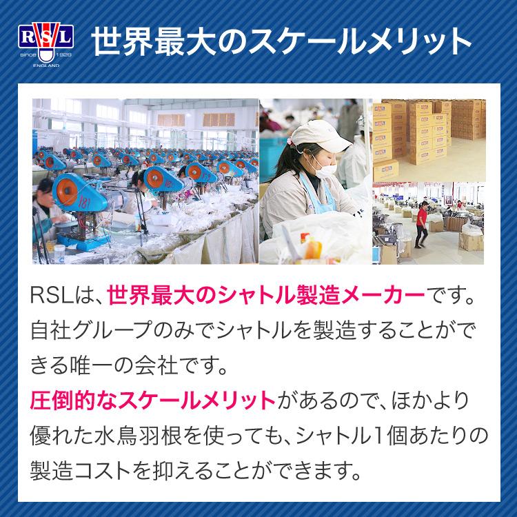 RSL シルバーフェザー バドミントンシャトル 第2種検定球 10ダース(10本) スピード番号(2番 3番 4番 5番) ゲーム練習に 耐久 ...