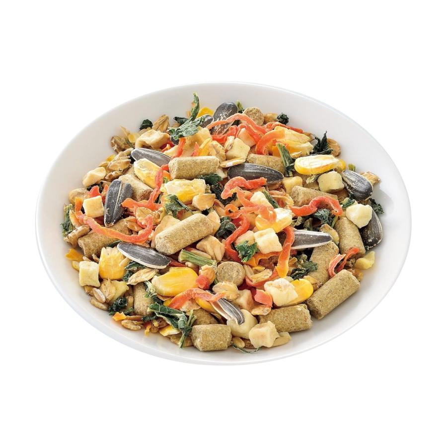 GEX GEXジェックス 彩食健美 ハムスターミックス ゴールデンハムスター専用 ミックスタイプ 200g 栄養バランスフード : アールズマート - 通販 - Yahoo!ショッピング