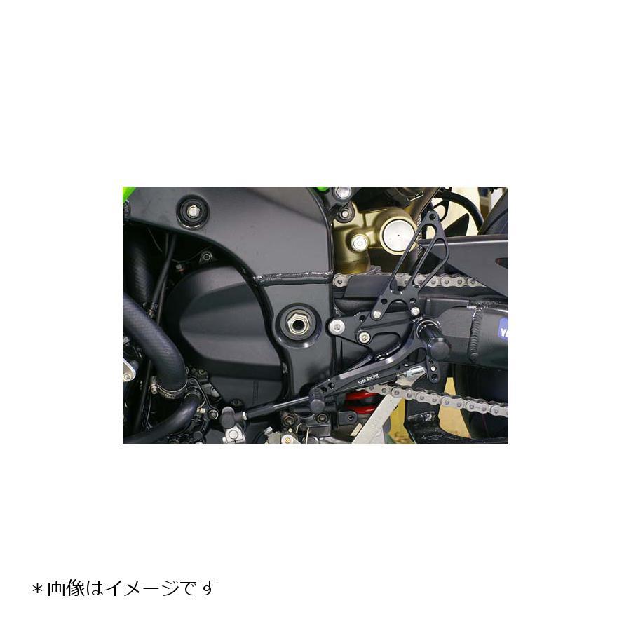 babyface ベビーフェイス バックステップ/ブラック 6Pレース ZX10R 06-07 : バイク・車パーツ ラバーマーク - 通販 - Yahoo!ショッピング