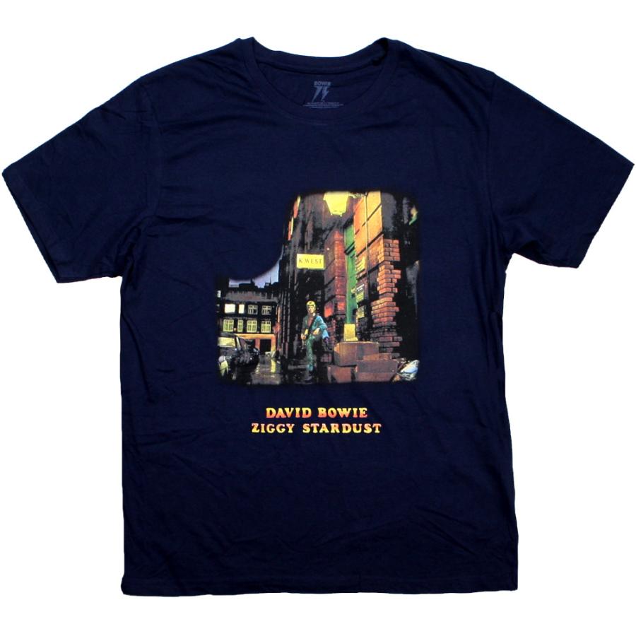 David Bowie / The Rise and Fall of Ziggy Stardust the Spiders from Mars ...