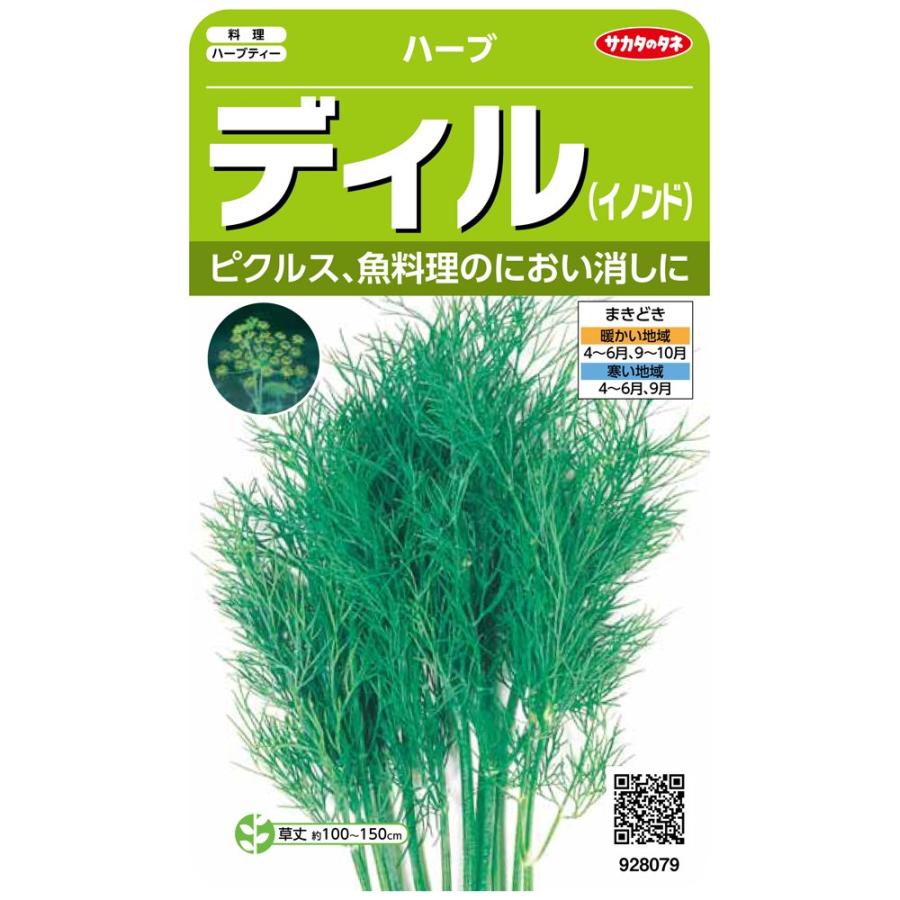 サカタのタネ 実咲ハーブ8079 ディル(イノンド) ハーブ 00928079 : ショップ ルーン - 通販 - Yahoo!ショッピング