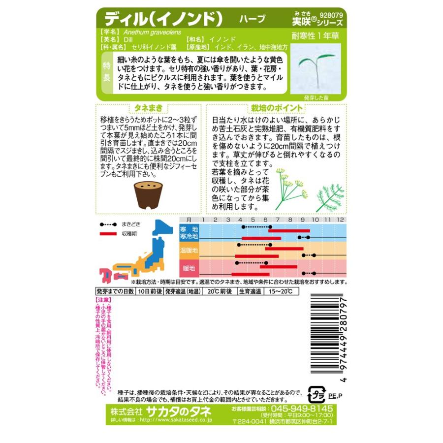 サカタのタネ 実咲ハーブ8079 ディル(イノンド) ハーブ 00928079 : ショップ ルーン - 通販 - Yahoo!ショッピング
