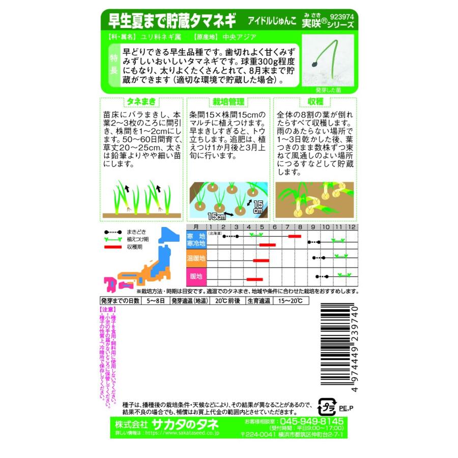 サカタのタネ 実咲野菜3974 タマネギ 早生夏まで貯蔵アイドルじゅんこ : ショップ ルーン - 通販 - Yahoo!ショッピング