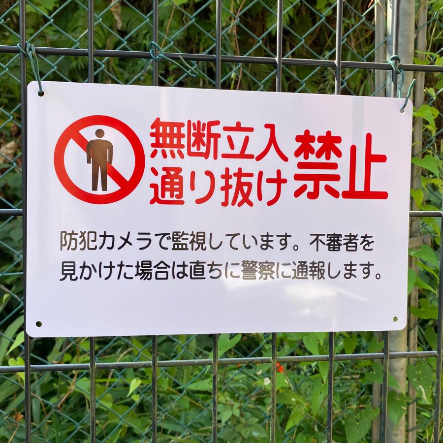 2枚入-送料無料 激安看板 PVL01『無断立入禁止 通り抜け禁止』 約W200×H315ミリ 安全標識 注意喚起 看板 標識 注意看板 耐水 屋外対応 プレート看板 : SC看板工場 ...