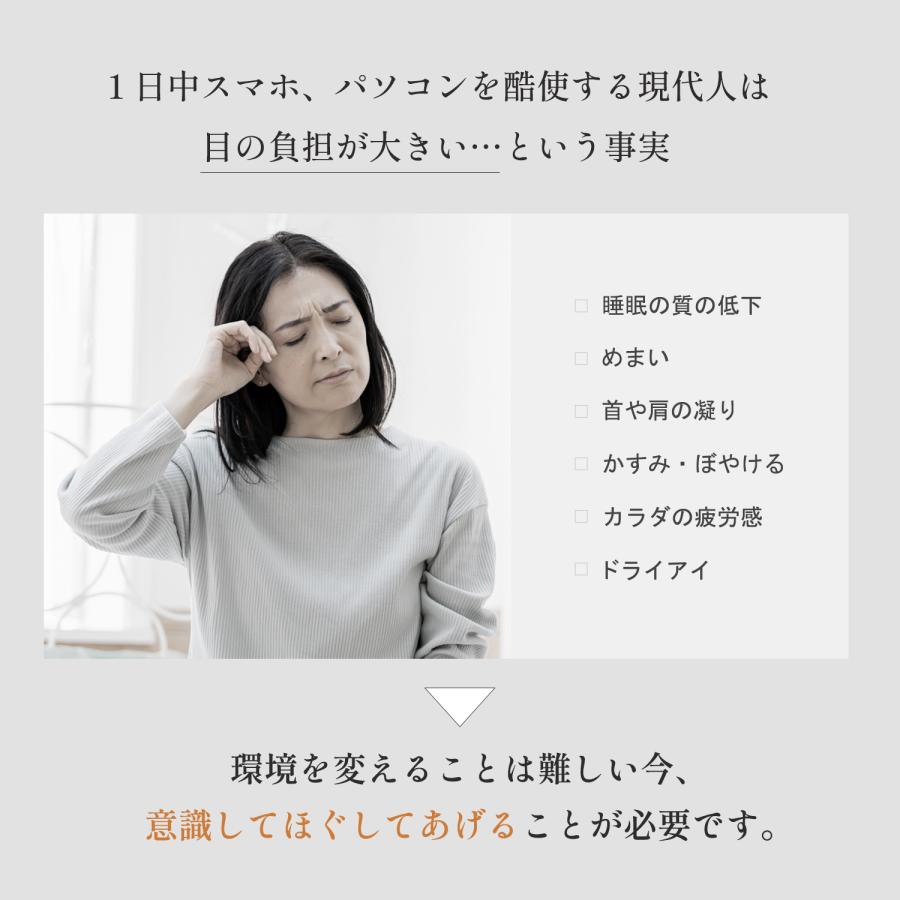 Rocotto [Rocotto] アイピロー アイマスク 充電式 シルク ホット 温冷 ギフト プレゼント 遮光 睡眠 USB 温める ホットアイマスク コードレス 繰り返し 肌に優しい ...