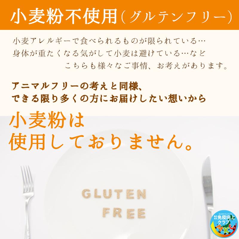 カレー レトルト 食品 大豆ミートベジカレー 6食セット グルテンフリー アニマルフリー ダイエット ソイミート ヴィーガン ビーガン ベジタリアン CR01-1-06SET : サイズ豊富な ...