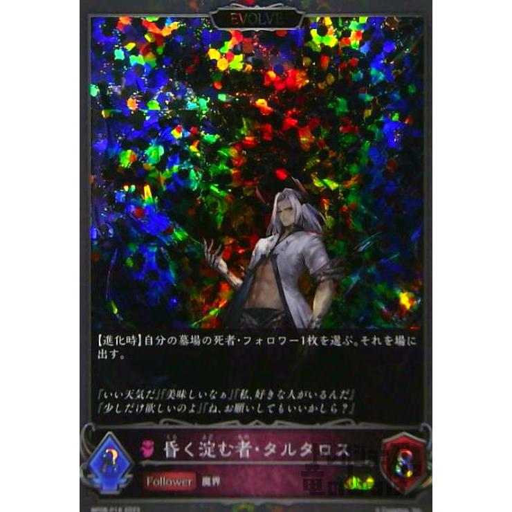 昏く淀む者・タルタロス(GR・プレミアム)(BP08-P18)(EVOLVE)/ナイトメ シャドウバースエボルヴ : トレカショップ竜のしっぽ Yahoo!店 - 通販 - Yahoo!ショッピング
