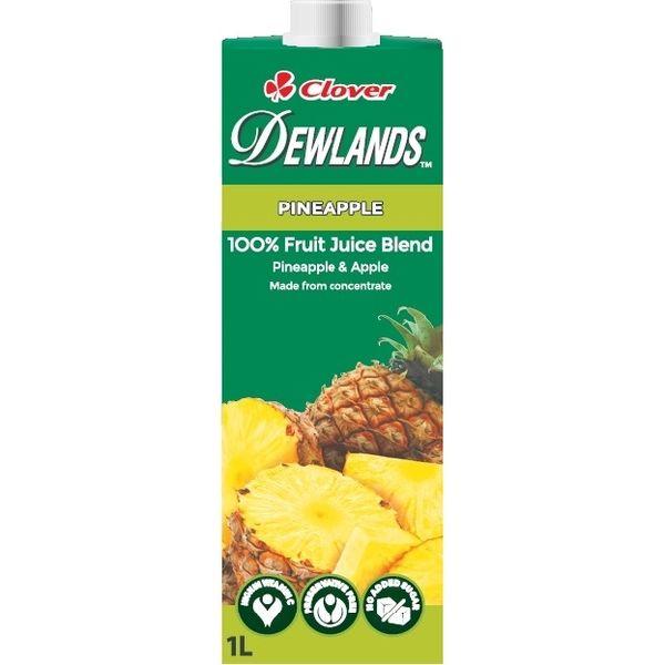 DEWLANDS DEWLANDS（デュウランド） 業務用 パイナップルジュース 1L×12本 : エスマート - 通販 - Yahoo!ショッピング