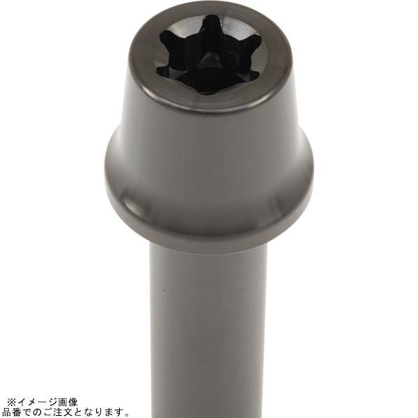 brembo PLOT プロトブレンボ CMBT-075B ステンレスキャリパーマウントボルト ブラック 75mm テーパーキャップ M10/P1.25 ヘクサロビュラ 2本入 : S ...