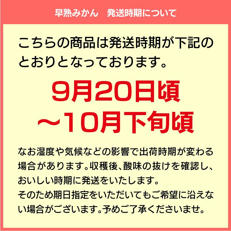 早熟みかん 3kg（S~2L混合） 極早生 蜜柑 9月下旬〜10月下旬 1箱 : SAGAマルシェYahoo!ショップ - 通販 - Yahoo!ショッピング