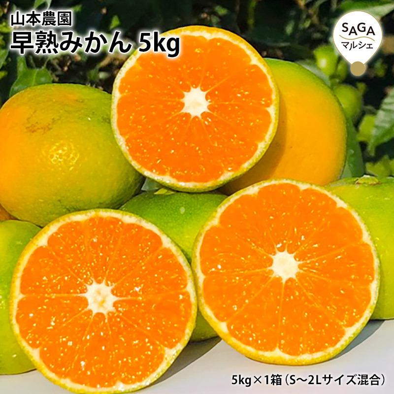 早熟みかん 5kg （S~2L混合）極早生 蜜柑 9月下旬〜10月下旬 1箱 : 100193 : SAGAマルシェYahoo!ショップ - 通販 - Yahoo!ショッピング