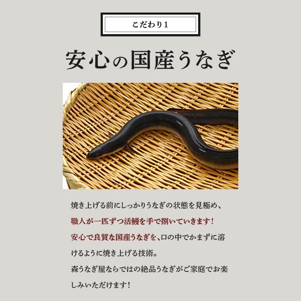 【炭火焼/鹿児島県産】うなぎ蒲焼き（ 2尾：約280g）森うなぎ屋 国産 鰻 うなぎ : SAGAマルシェYahoo!ショップ - 通販 - Yahoo!ショッピング