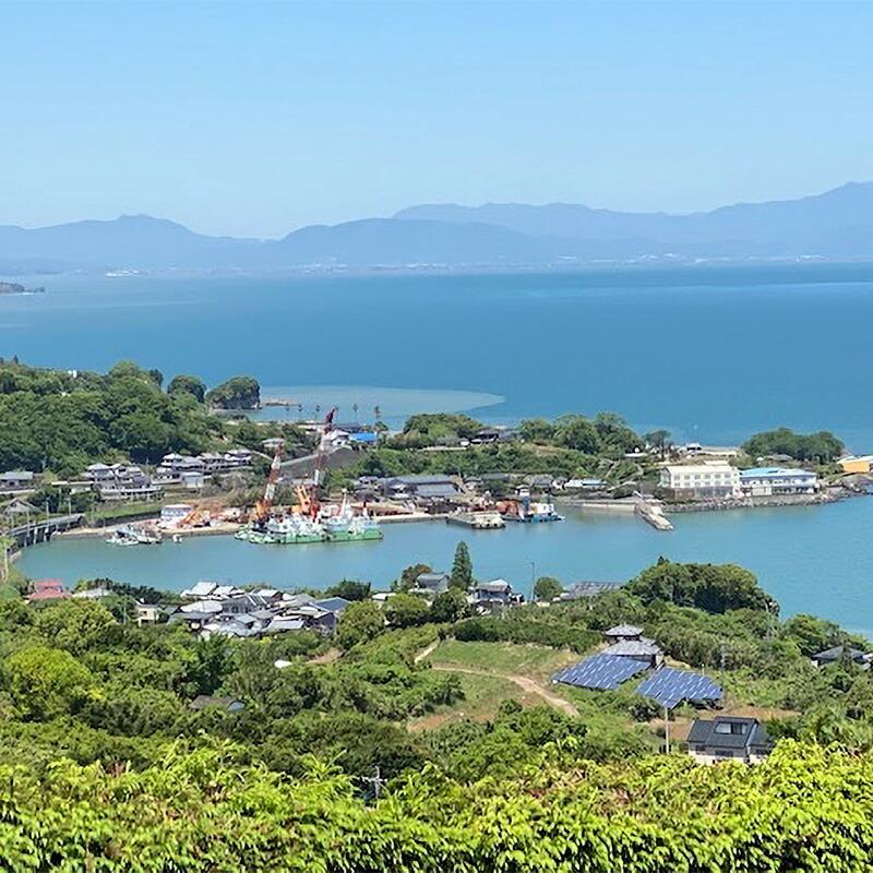 はれひめ 2S〜L ・4.5kg 太良・山本農園 : SAGAマルシェYahoo!ショップ - 通販 - Yahoo!ショッピング