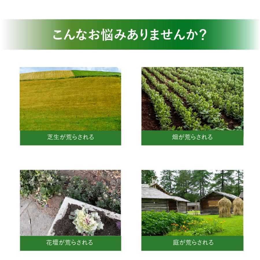 【2個セット 本体未使用 箱汚れあり】 SaiEL モグラ除け ソーラー充電式 撃退器 音波振動 超音波 音波 農地 畑 庭 家庭菜園 ガーデニング 簡単設置 : SaiEL Direct ...