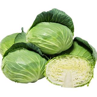 キャベツの種 F1翠青 小袋（1ml） :2131122:菜園くらぶ Yahoo!店 - 通販 - Yahoo!ショッピング