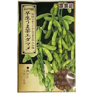 エダマメの種 早生うま茶エダマメ 小袋 :2147635:菜園くらぶ Yahoo!店 - 通販 - Yahoo!ショッピング