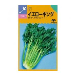 イエローキング (セロリの種) 小袋 約1.5ml ( 野菜の種 ) : 菜園くらぶ Yahoo!店 - 通販 - Yahoo!ショッピング