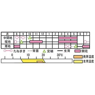 ビオラFパワースーパーの種 Fパワースーパー レッド 小袋 :5240524:菜園くらぶ Yahoo!店 - 通販 - Yahoo!ショッピング