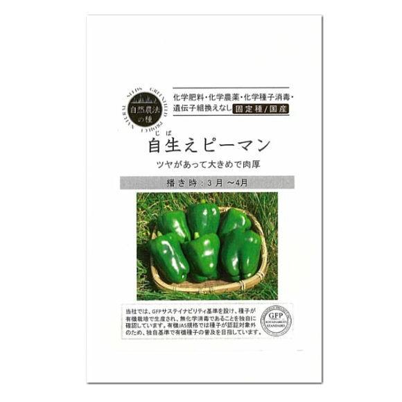 自生えピーマン 種 A599 有機種子 固定種 グリーンフィールドプロジェクト 家庭菜園 オーガニック 有機栽培 野菜 たね タネ 緑黄色野菜 夏野菜 種子 : 菜園ライフ - 通販 ...