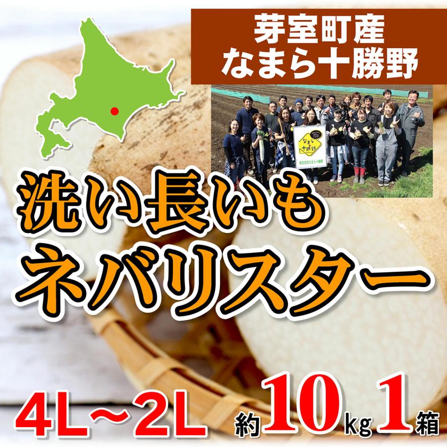 1510-08-08 芽室町産：なまら十勝野 洗い長いも 1箱 4L〜3Lサイズ・約10kg : 0460151010493 : 西條 ヤフーストア - 通販 - Yahoo!ショッピング