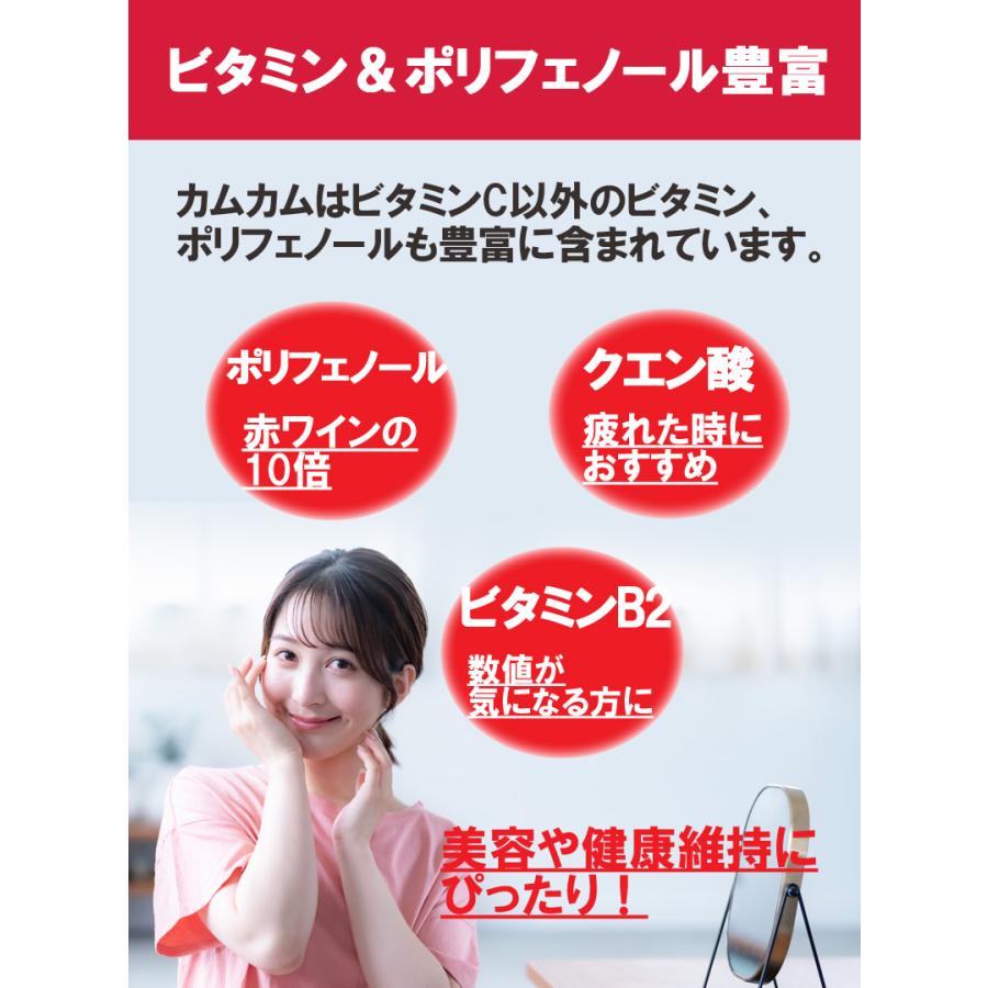 カムカムパウダー100g 粉末 美容 ダイエット ビタミン ドリンク 保存料着色料砂糖不使用 ノンシュガー フルーツジュース : 彩香 ...