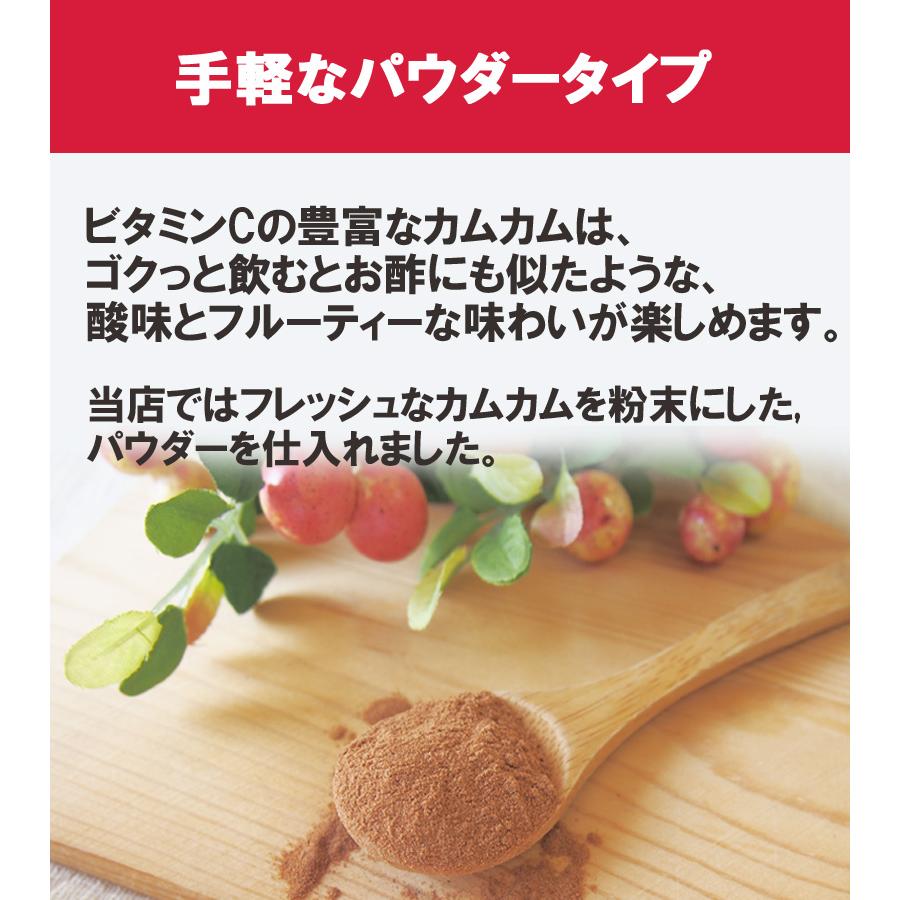 カムカムパウダー100g 粉末 美容 ダイエット ビタミン ドリンク 保存料着色料砂糖不使用 ノンシュガー フルーツジュース : 彩香 ...