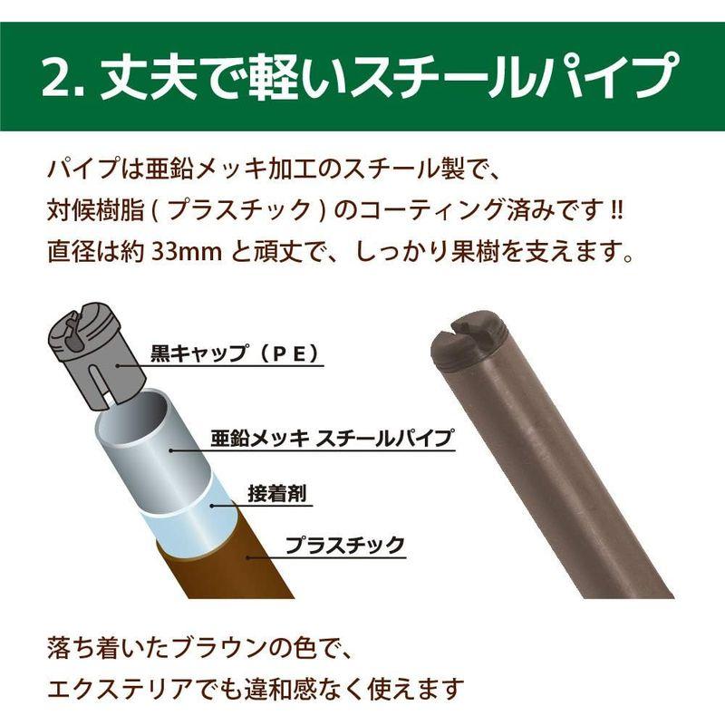 daim 果樹棚セット 幅2m×奥行2m×高さ2m（50cm埋め込み時） パーゴラ 栽培 くだもの棚 ガーデンアーチ 藤棚 ふじ棚 果樹棚 :20231202134333-02420 ...