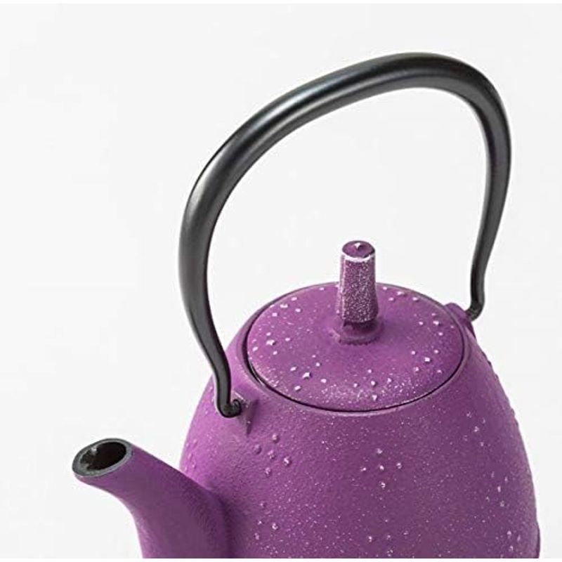 岩鋳 Iwachu 急須 らいす 銀/EBU 0.6L 内面ホーロー 南部鉄器 12187 : saikouインテリア・家電ストア - 通販 - Yahoo!ショッピング