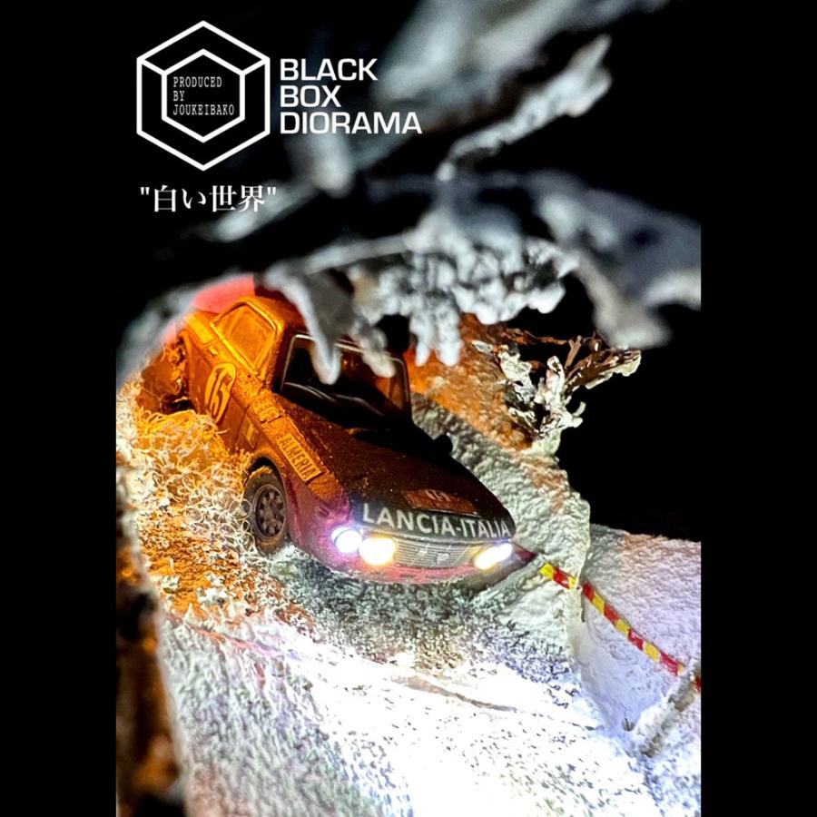BBD 「白い世界」 ：情景箱 塗装済完成品 1/64 : さかつうヤフー店 - 通販 - Yahoo!ショッピング