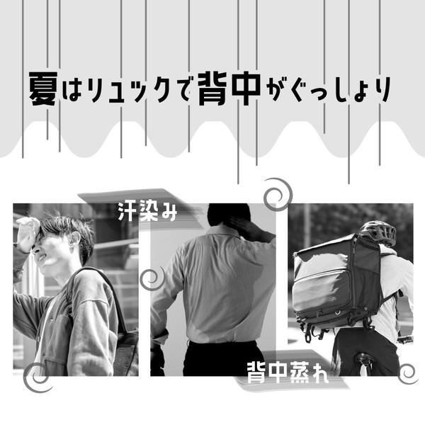THANKO サンコー ファンと冷却プレートで背中蒸れとおさらば ひんやりュック 冷却プレート 冷たい 暑さ対策 汗染み 背中 通勤 車 オフィスチェア USB RSPCERSBK : 総合 ...