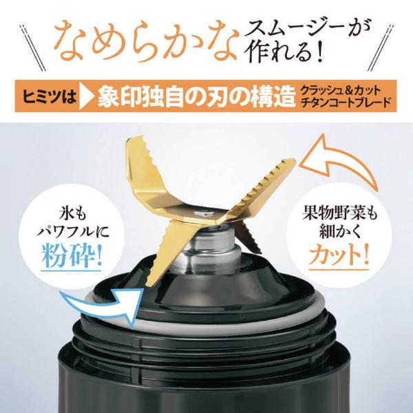 象印（ZOJIRUSHI） ミキサー ZOJIRUSHI BM-SS10-BA ブラック 軽量