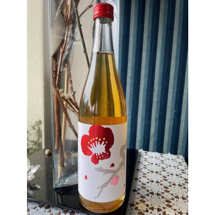 紅乙女 梅酒 18° 720ml 紅乙女酒造 リキュール 青いダイヤ 古城梅 オトナの梅酒 : 酒のたどころ - 通販 - Yahoo!ショッピング
