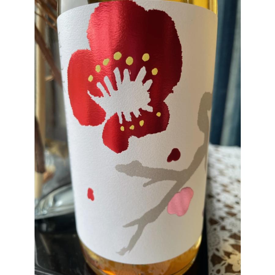 紅乙女 梅酒 18° 720ml 紅乙女酒造 リキュール 青いダイヤ 古城梅 オトナの梅酒 : 酒のたどころ - 通販 - Yahoo!ショッピング