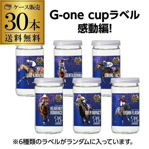 送料無料 大関 上撰 ワンカップ G-OneCup 感動編 180ml×30本 : 0101 : 酒本舗 太右衛門 - 通販 - Yahoo!ショッピング