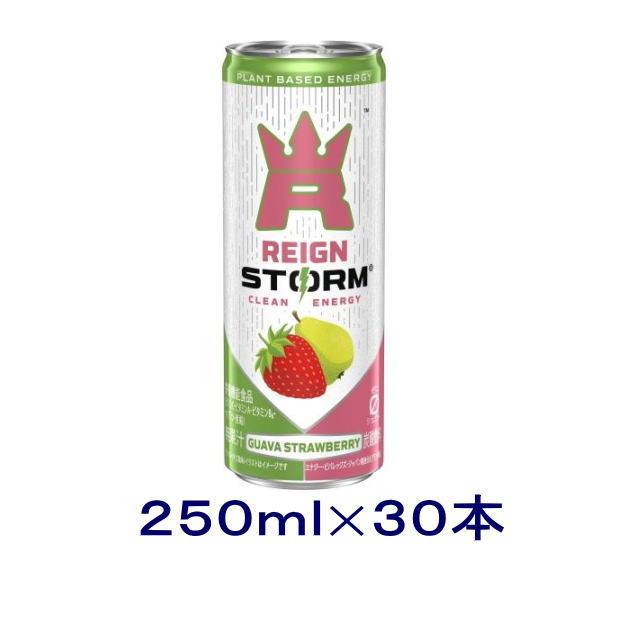 アサヒ [飲料]送料無料※ レインストーム グァバストロベリー 250ml缶 1ケース30本入り（250 300 REIGN STORM ...