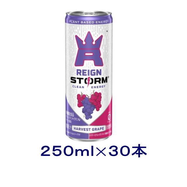 アサヒ（asahi） [飲料]送料無料※ レインストーム ハーベストグレープ 250ml缶 1ケース30本入り（250 300 REIGN ...