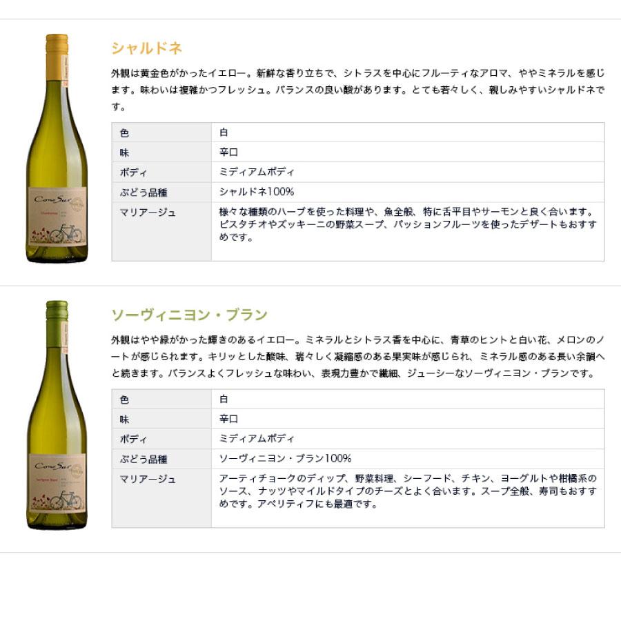 Cono Sur ワインセット 組み合わせ自由 コノスル 12本セット ビシクレタ レゼルバ ヴァラエタル 6本 オーガニック チリ 750ml 飲み比べ 一部地域送料無料 : 酒のいしかわ ...