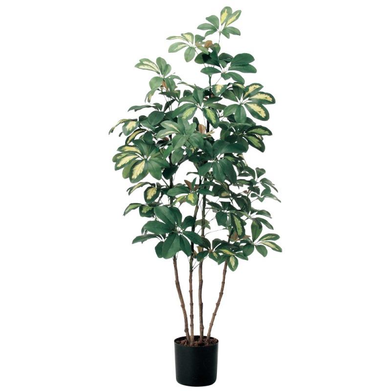 人工観葉植物 ベビーシェフレラ （ポット付き） グリーン 高さ100cm （P286-a50757) （代引き不可） : さくらソレイユ - 通販 - Yahoo!ショッピング