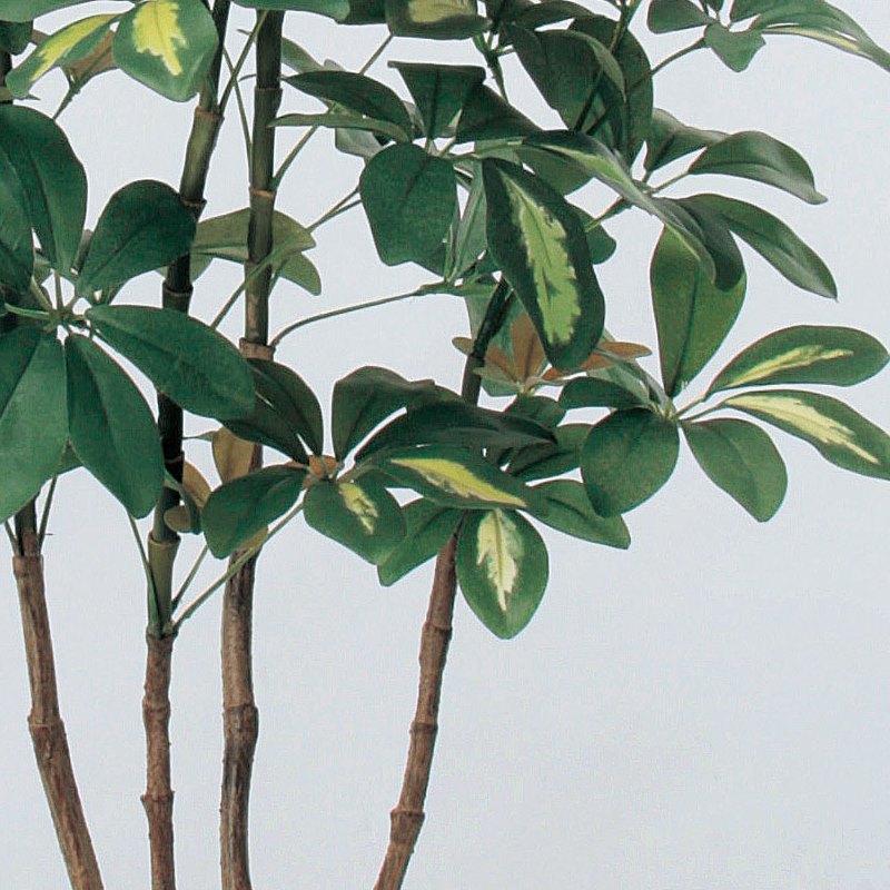 人工観葉植物 ベビーシェフレラ （ポット付き） グリーン 高さ100cm （P286-a50757) （代引き不可） : さくらソレイユ - 通販 - Yahoo!ショッピング