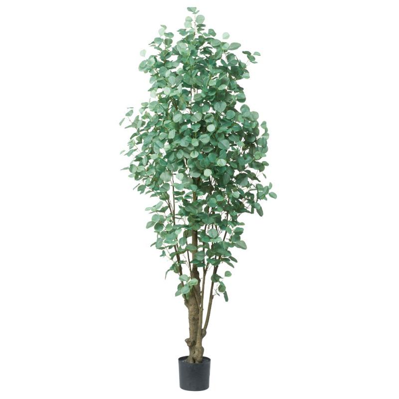 人工観葉植物 ユーカリ （ポット付き） グリーン 高さ225cm （P283-a51042) （代引き不可） : さくらソレイユ - 通販 - Yahoo!ショッピング
