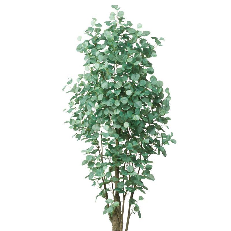 人工観葉植物 ユーカリ （ポット付き） グリーン 高さ225cm （P283-a51042) （代引き不可） : さくらソレイユ - 通販 - Yahoo!ショッピング