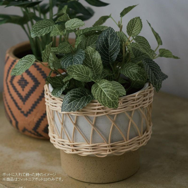 人工観葉植物 フィットニア ポット 22 （12個入り） 992060 （代引き不可） p32 : さくらソレイユ - 通販 - Yahoo!ショッピング