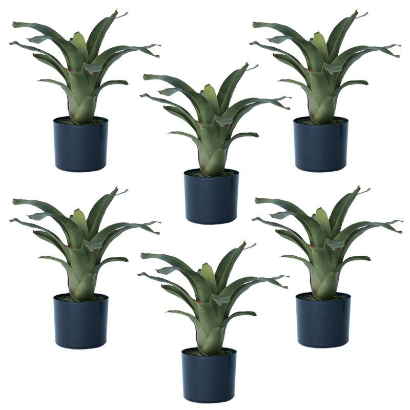 人工観葉植物 フリーセア ポット 40 （6個入り） 992170 p79 : さくらソレイユ - 通販 - Yahoo!ショッピング