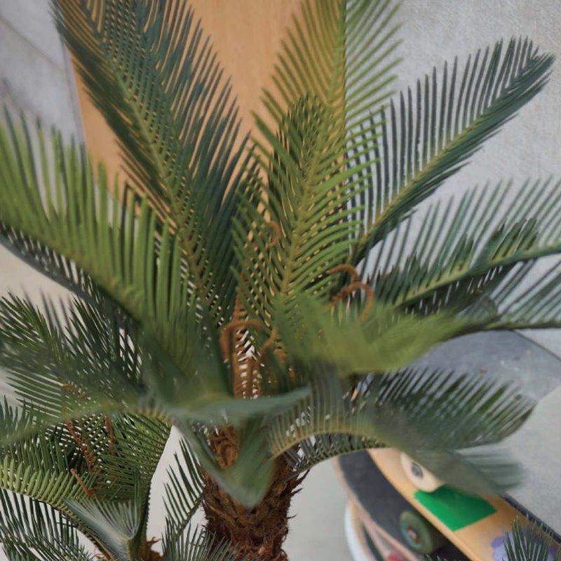 人工観葉植物 ソテツ ポット 86 （1個入り） 992431 p91 : さくらソレイユ - 通販 - Yahoo!ショッピング