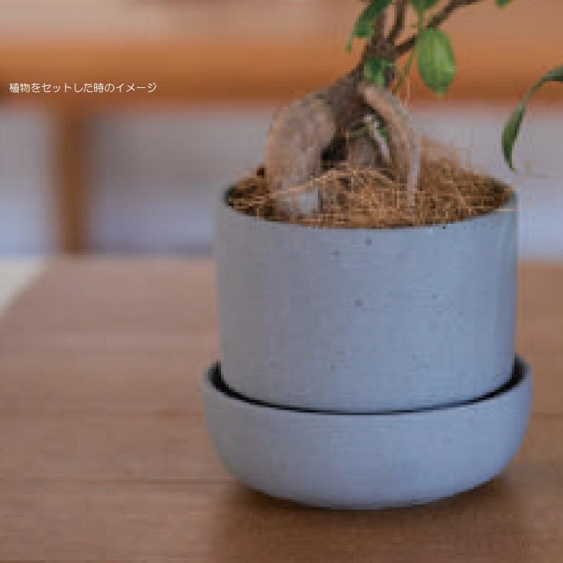 花・観葉植物用ポット フューズポット 13 H 4個入り 18017 （代引き不可） p93 :farm-18017:さくらソレイユ - 通販 - Yahoo!ショッピング