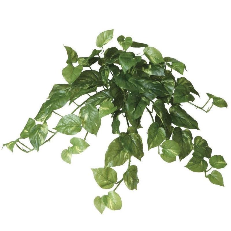 人工観葉植物 ポトス ブッシュ 長さ50cm （P142-99049) （代引き不可） : さくらソレイユ - 通販 - Yahoo!ショッピング