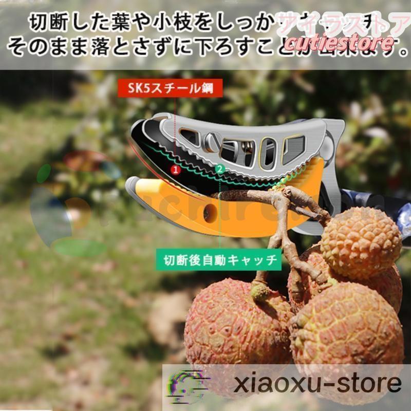 高枝切りバサミ 3m 4m 5m 伸縮式高枝切鋏 鋸付き 伸縮式 剪定鋏 高枝鋏 高枝用 SK5 高所 園芸用はさみ 太枝切鋏 枝切り 枝分け 高枝切り鋏 万能はさみ : さくらアバンティ ...