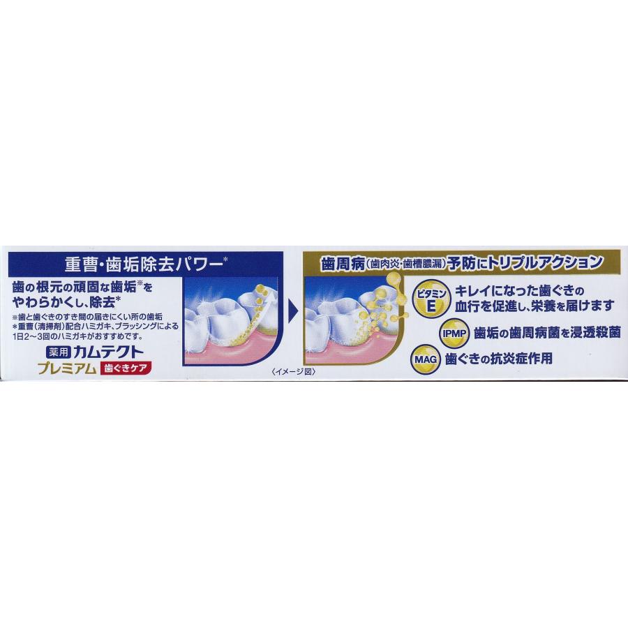 カムテクトプレミアム 115g 10%増量 3本セット ハグキケア 医薬部外品 歯周病予防 歯槽膿漏予防 口臭防止 歯を白くする 送料無料 : さくら医薬品ストア - 通販 - Yahoo ...